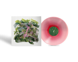 MIZU – Forest Scenes – NNA Tapes